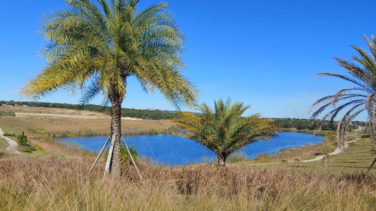 Waterbrooke Subdivision - Neighborhood Tour & What's to Love About It!