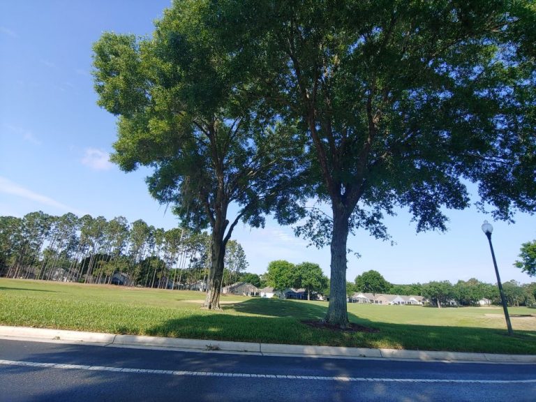 Kings Ridge in Clermont Florida - Tour the Neighborhood